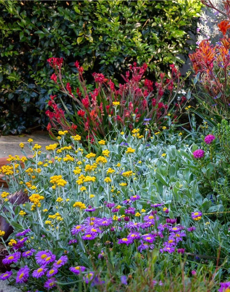 Landscaping Company Perth - #1 Garden Landscaper - Perth Landscapers WA